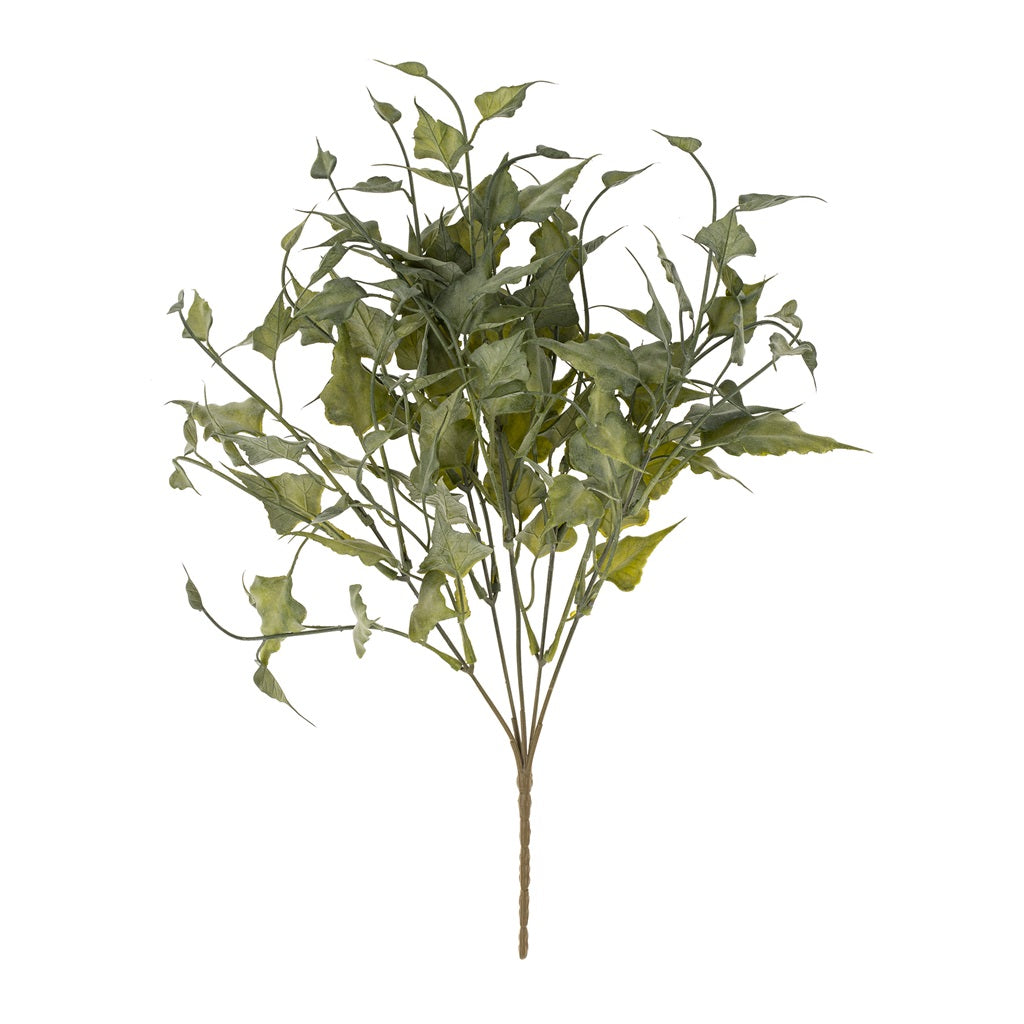 Ivy Spray | Green – HOHM AND CO.