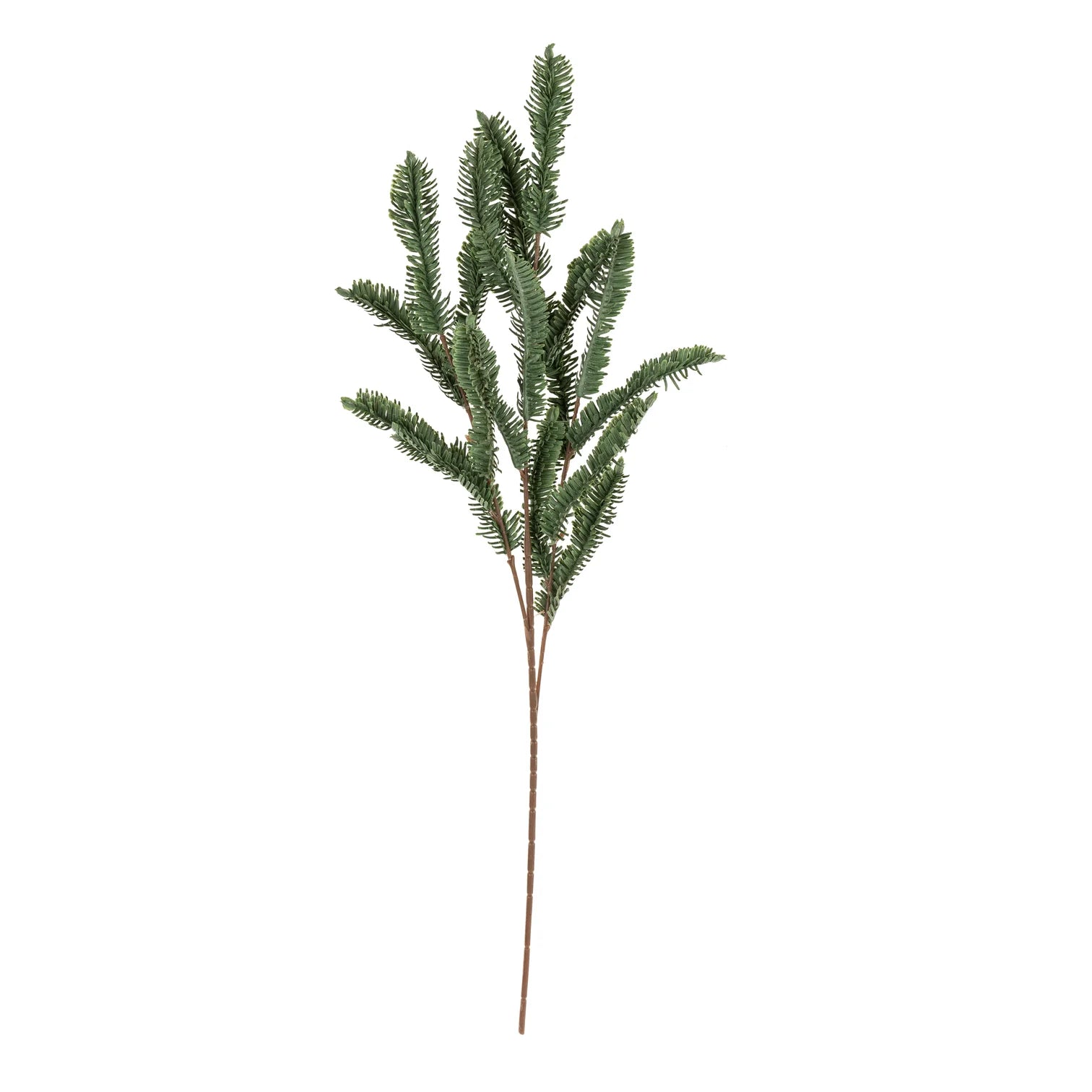 Pine Sprig – HOHM AND CO.