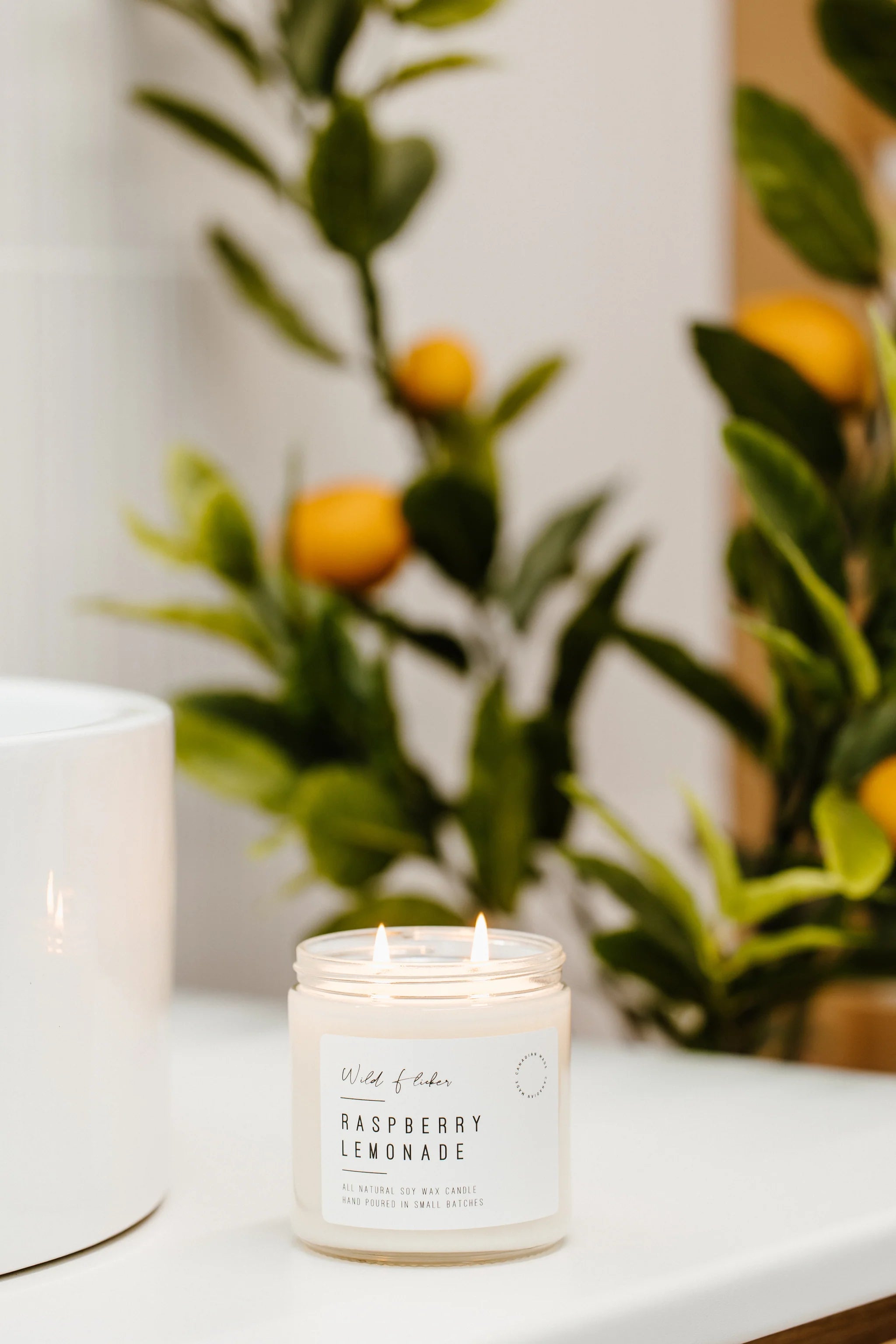 Raspberry Lemonade | Candle – HOHM AND CO.